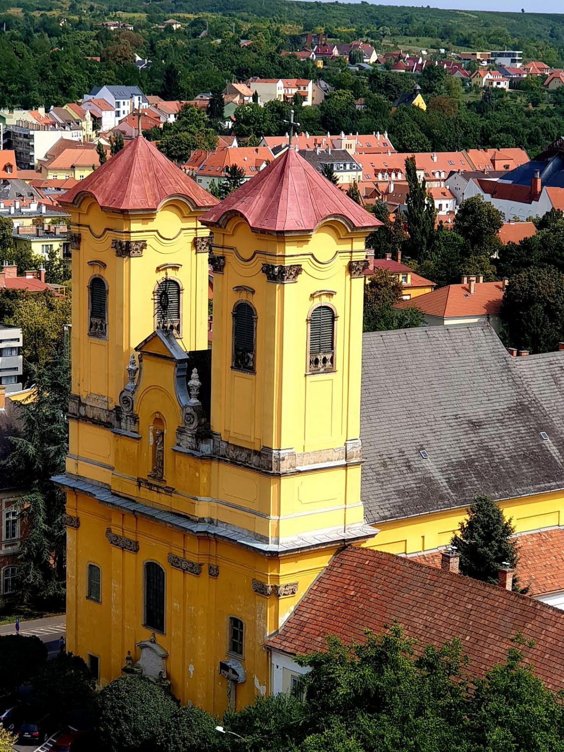 Courage and Grape Vines In Eger