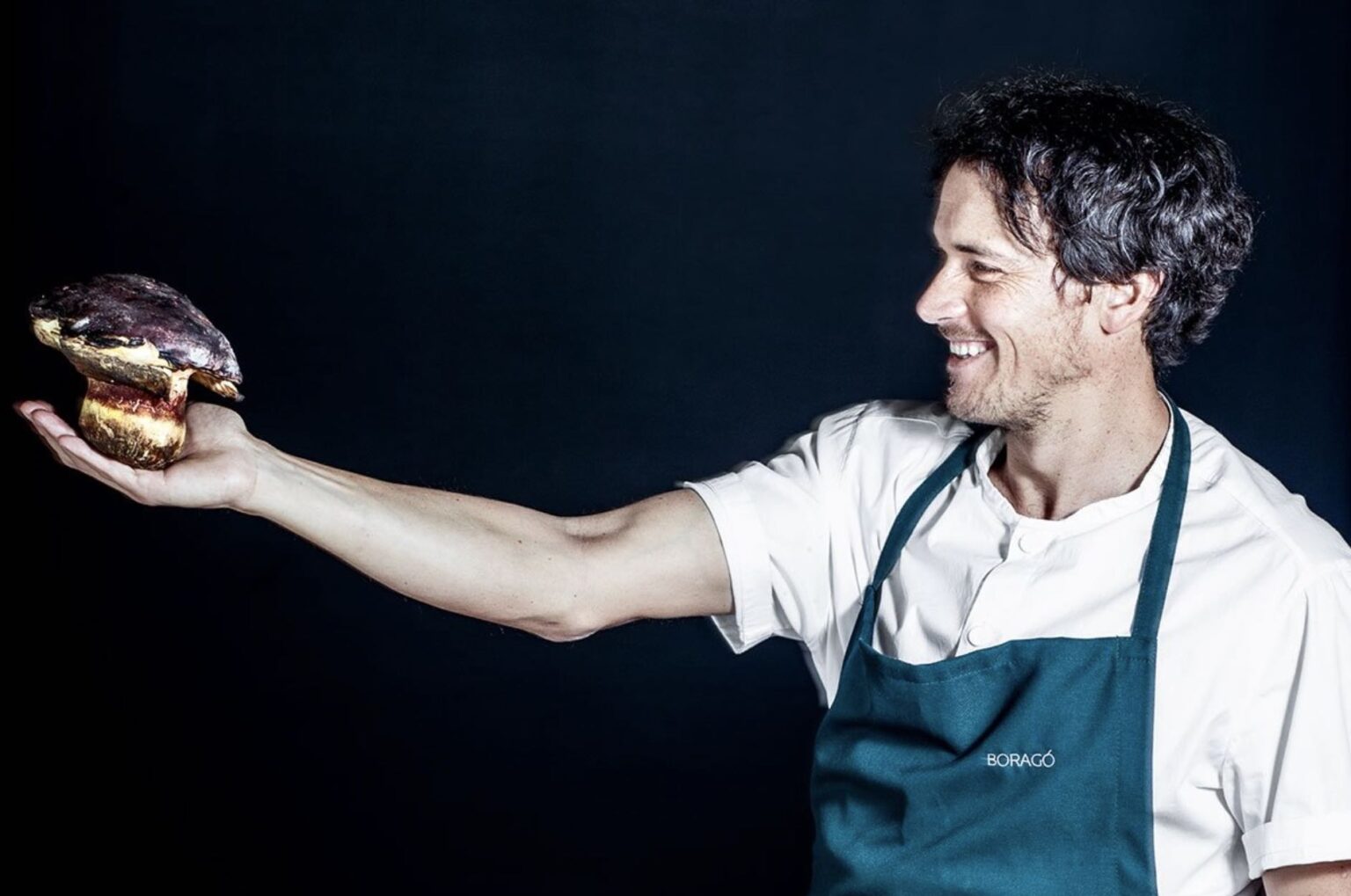 Borago Santiago: Chile’s Most Innovative Restaurant Experience