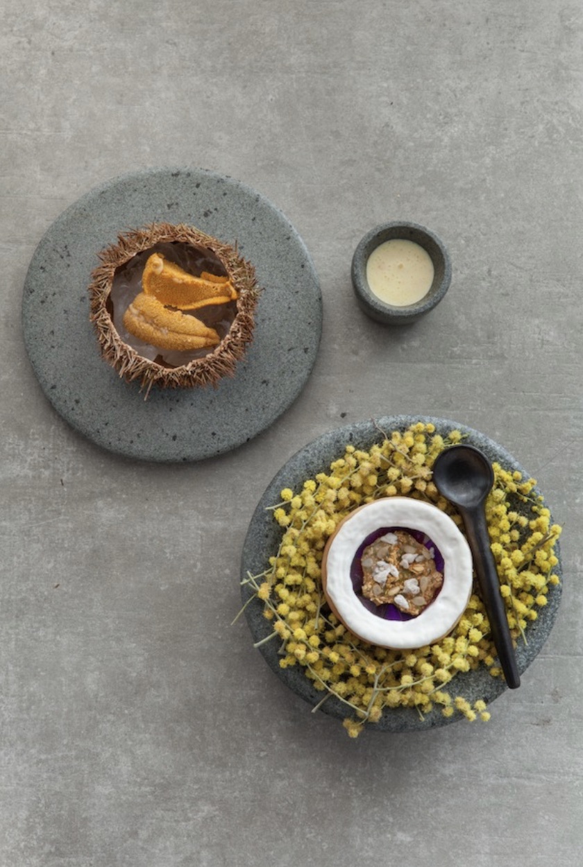 Borago Santiago: Chile’s Most Innovative Restaurant Experience