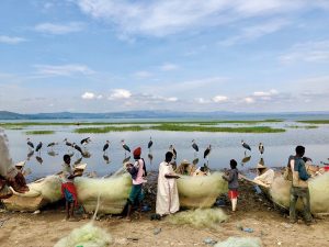 The famous fish stew of Ethiopia is found in the market of Awassa