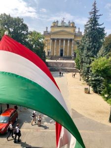 Courage and Grape Vines In Eger